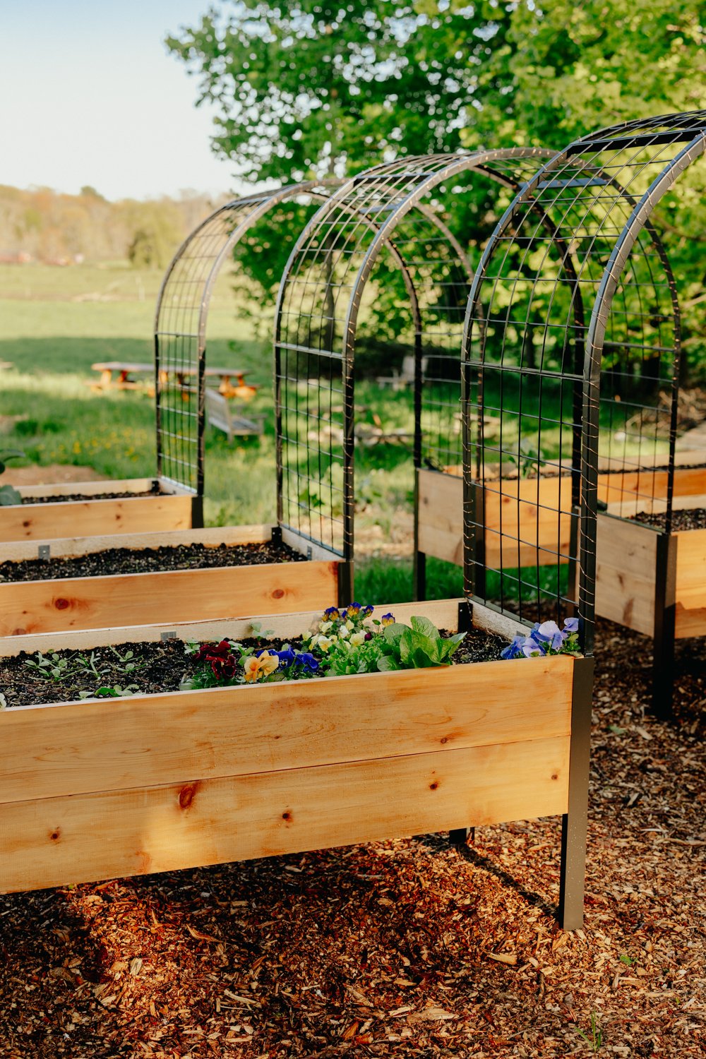 Elevated garden beds store